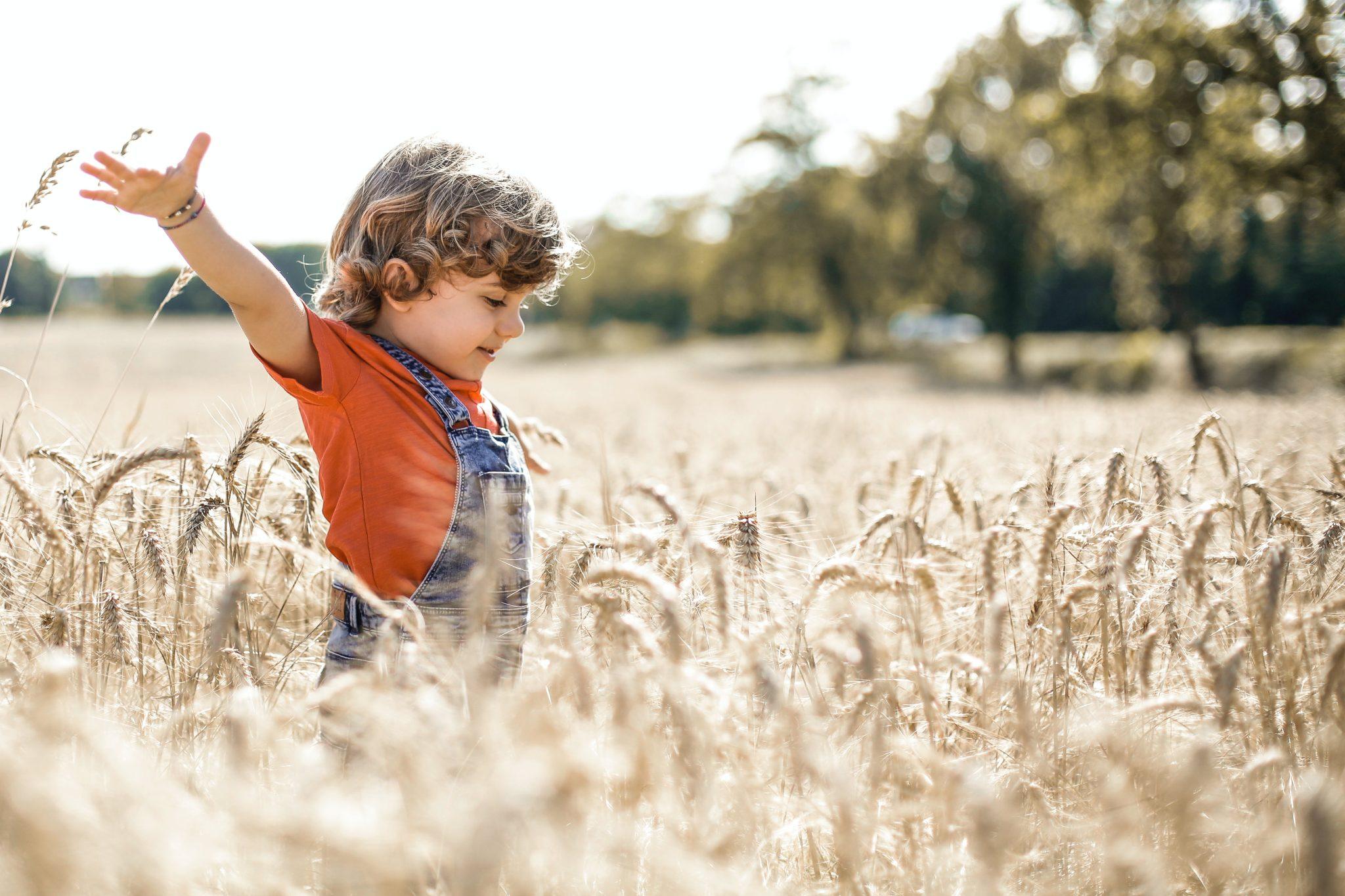 The Role and Functions of the Children’s Court in South Africa